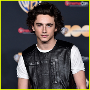 Timothée Chalamet’s Top 10 Best Movies, Ranked | EG, evergreen, Movies ...