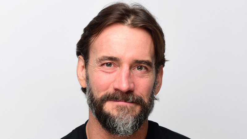 Who is CM Punk’s Wife? All About Former WWE Star AJ Lee | AJ Lee, CM ...