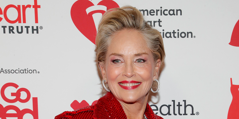 Sharon Stone Confirms ‘Euphoria’ Season 3 Casting! | Euphoria, Sharon ...