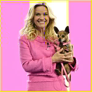 ‘Legally Blonde’ Prequel Show Cast: 3 Actors Confirmed, 1 Original Star Is Involved! | EG, Elle ...
