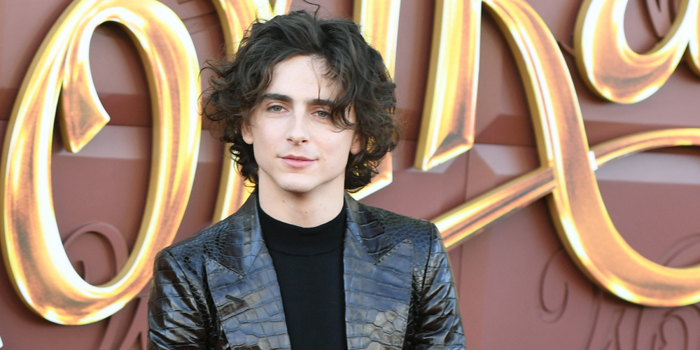 3 Movies Timothee Chalamet Auditioned For But Didn’t Book (One Was to ...