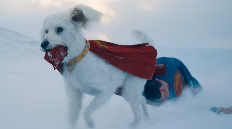 New ‘Superman’ Movie Sneak Peek Introduces Krypto the Dog with Five ...