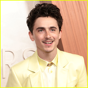 Timothee Chalamet Auditioned For These 3 Major Roles But Didn’t Book ...