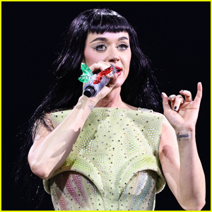 Katy Perry Reacts to Fan Storming the Stage at ‘The Lifetimes Tour ...