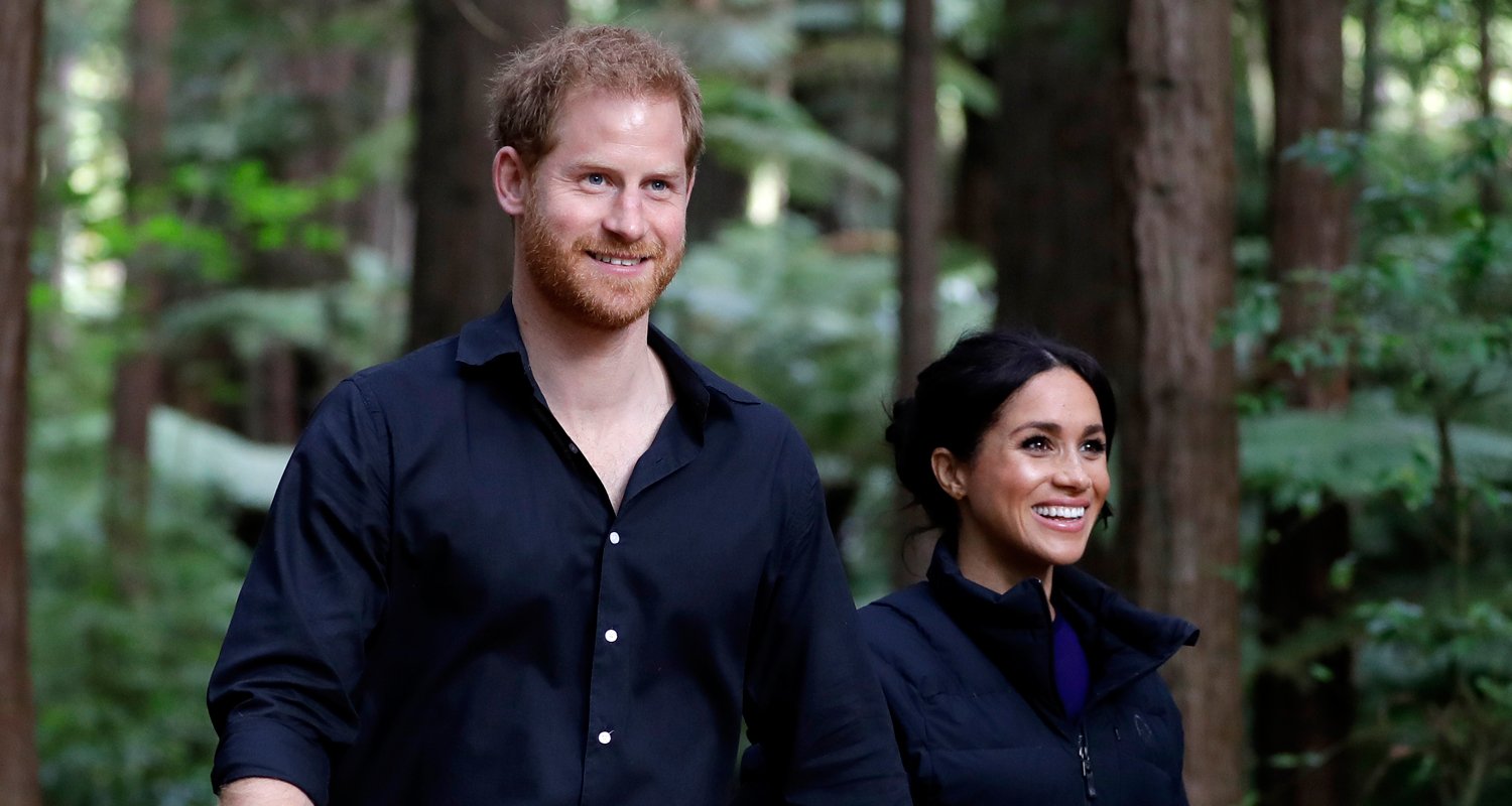 Meghan Markle Shares Fun Pictures & Videos at Disneyland with Prince Harry & Their Two Kids ...