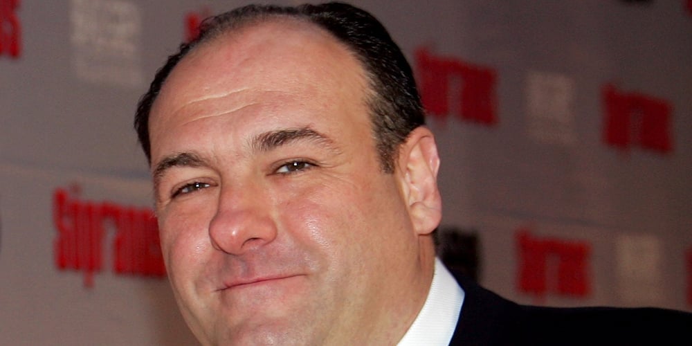 ‘The Sopranos’ Cast Members Who Passed Away – 15 Stars We’ve Sadly Lost ...