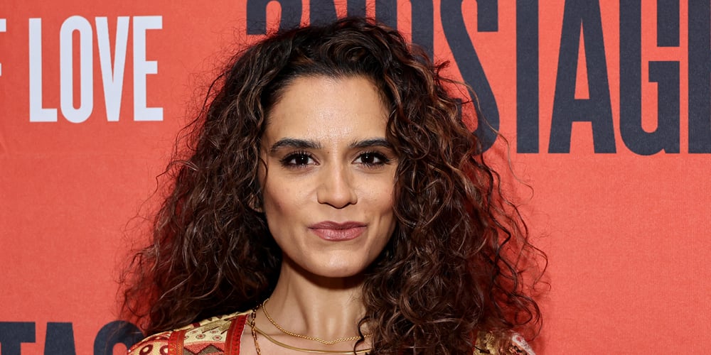 ‘The Pitt’ Season 2 Adds a New Series Regular: Sepideh Moafi Joins Cast ...