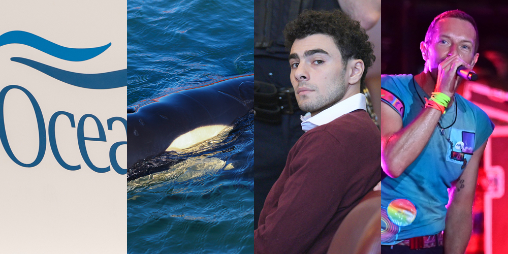 ‘Every Summer Fate Chooses a CEO for Sacrifice’ Meme Explained: Why Are ...