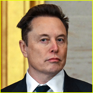 Luca Guadagnino’s Upcoming Movie About OpenAI to Feature Elon Musk ...