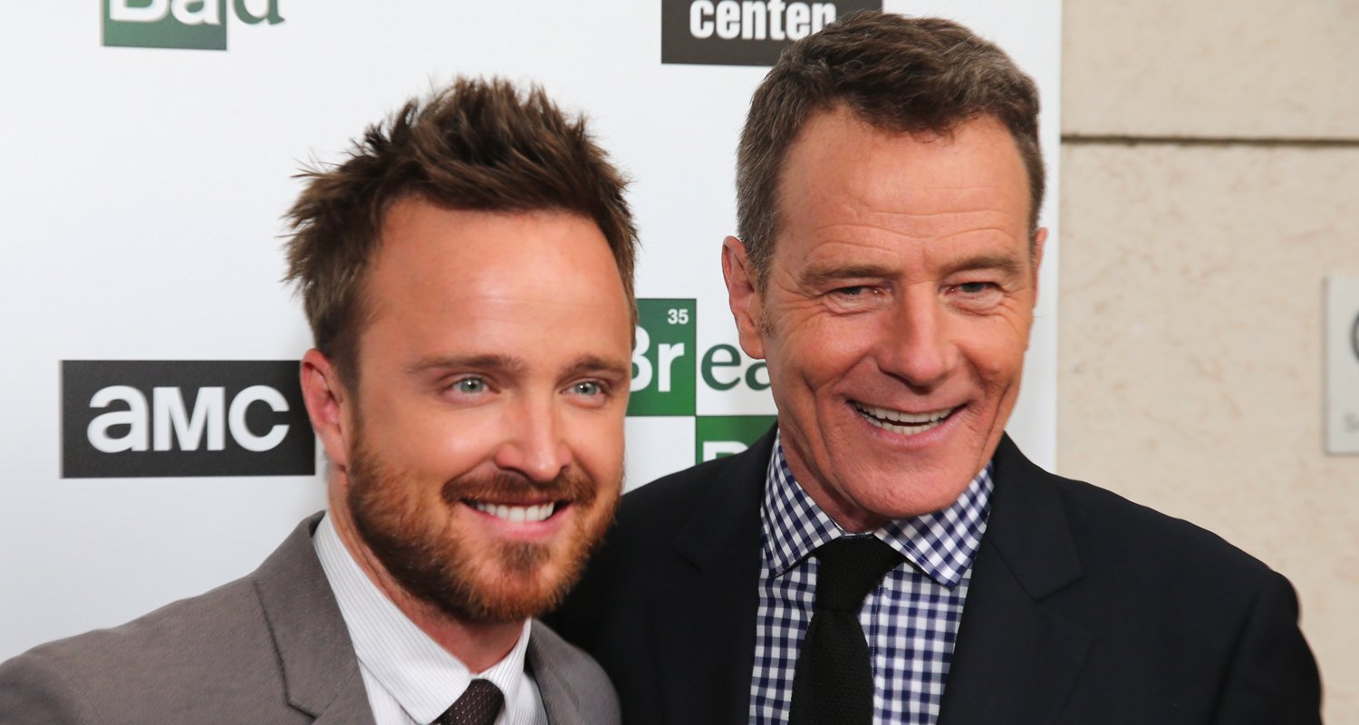 ‘Breaking Bad’ Stars: Where Are They Now? (Two Co-Stars Went Into ...
