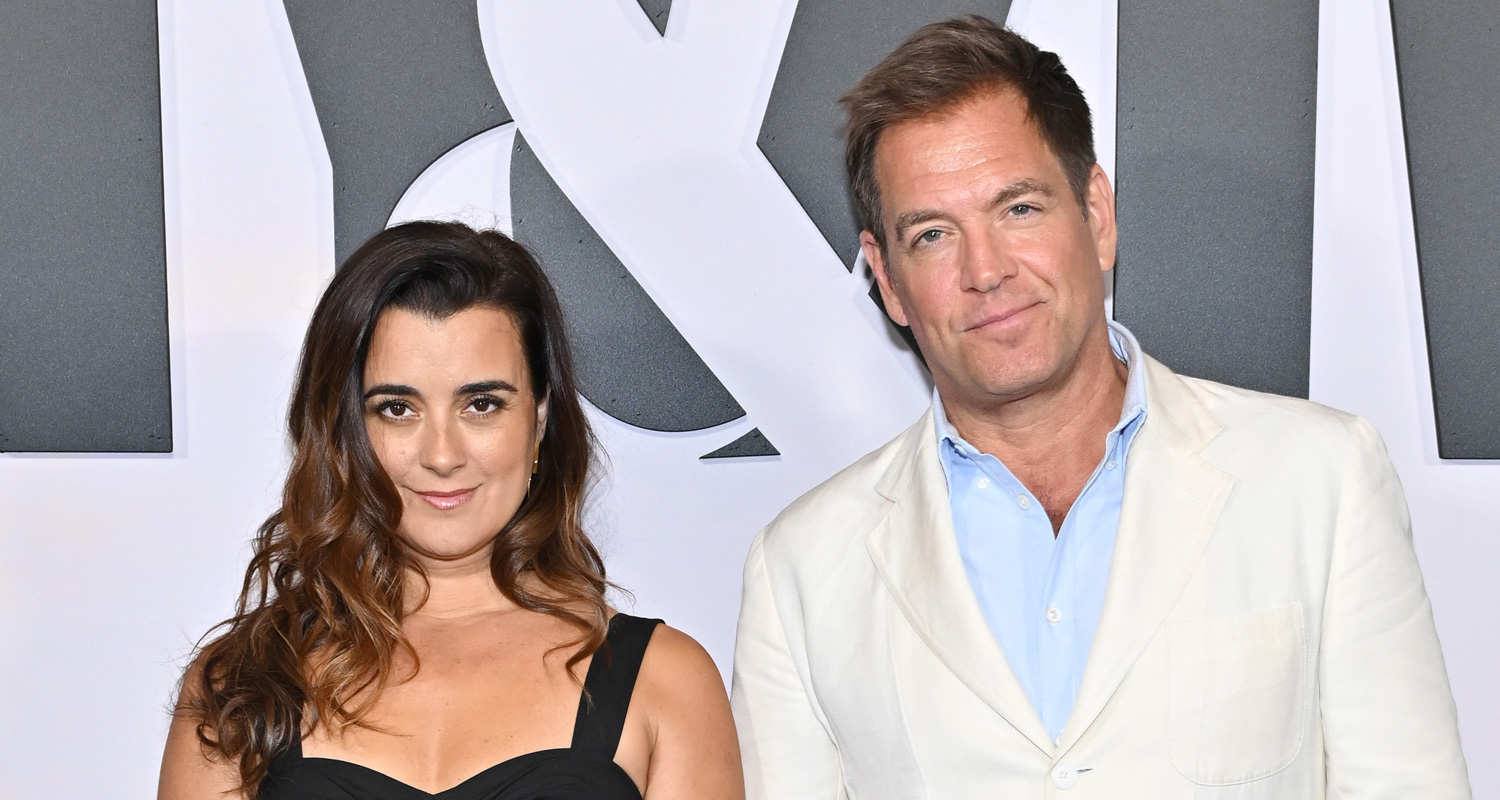 Michael Weatherly & Cote de Pablo Talk ‘NCIS: Tony & Ziva’ Splitting Up ...