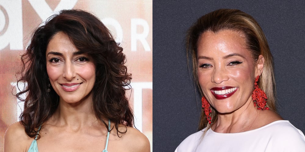 Necar Zadegan Takes Over Michael Michele’s Role on CBS’ ‘CIA’ Series in ...