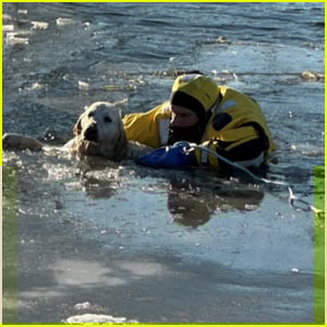 Golden Retriever Rescued After ‘Falling Through Thin Ice’ & Spending 30 ...