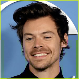 Harry Styles Launches Mysterious Website Amid New Music Rumors | Harry ...