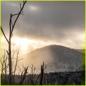 Missing Teenager Travels More than 30 Miles, Sparks Hours-Long Search ...